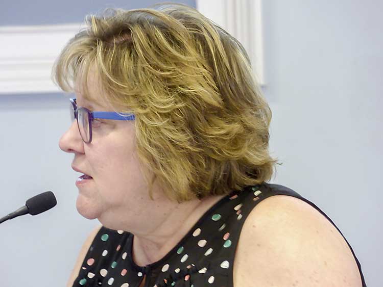 Fayette County plans $52 million budget, no tax increases - The Citizen