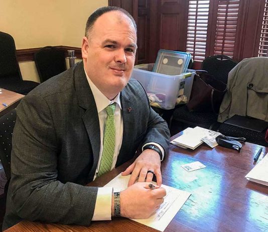 Peachtree City faces big split in House Republican redistricting plan ...