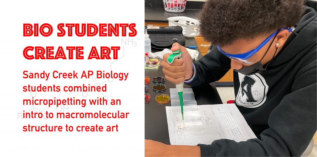 AP Bio students create macromolecular art - The Citizen