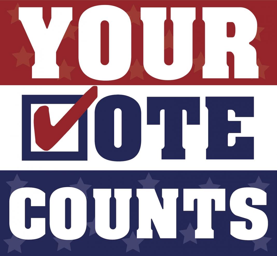 Final vote: Johnson 78%, Moore 22% — Peachtree City Dec. 5 Runoff ...